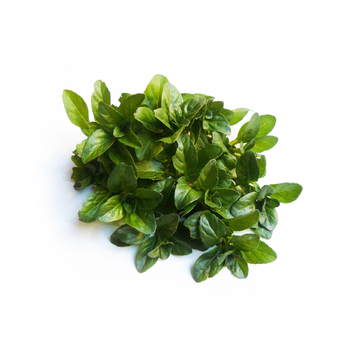 Poejo :: Frutas Cerejinha